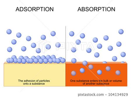 What Is The Difference Between Adsorption And Absorption