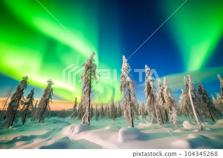 Lapland's natural spectacle as the northern... - Stock Illustration ...