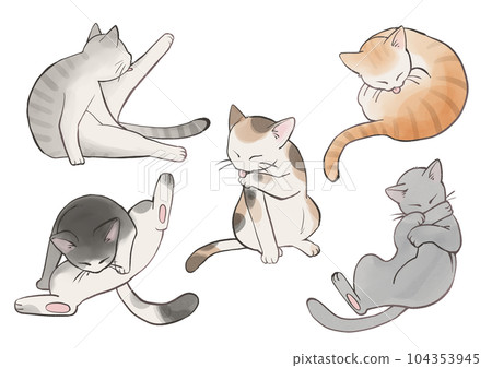 Cat grooming - Stock Illustration [104353945] - PIXTA