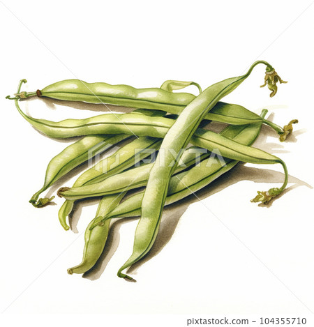 Green beans watercolor painting "AI generated... - Stock Illustration [104355710] - PIXTA