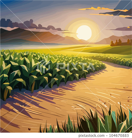 Cornfield landscape Vector illustration cartoon... - Stock Illustration ...