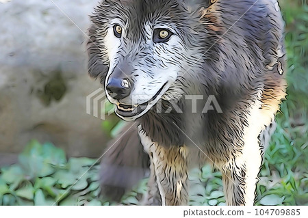 Pastel Drawings Wolves Pastel Wolf Painting "Cold Stare" Wildlife
