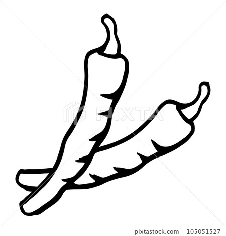 Chili pepper illustration line drawing - Stock Illustration [105051527 ...