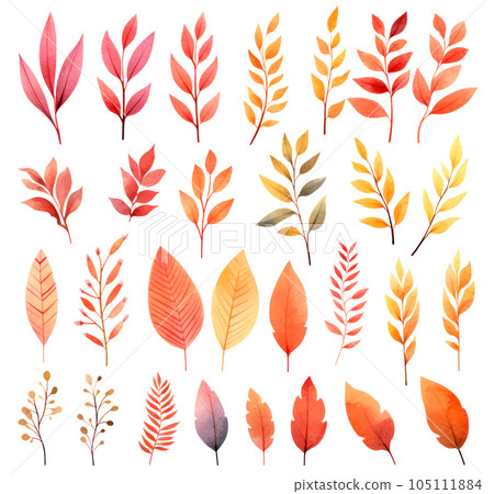 Multicolored collection of leaves and tree... - Stock Illustration ...