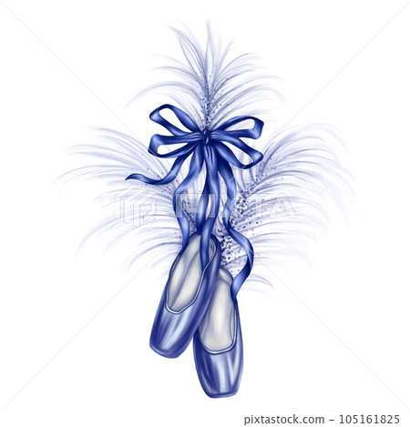Blue Pointe Shoes