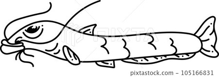 Catfish doodle. Cute single sea horse with... - Stock Illustration ...