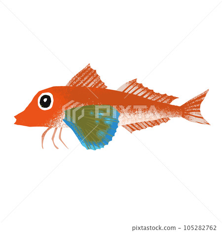 Gurnard illustration material - Stock Illustration [105282762] - PIXTA