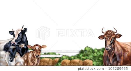 Cow Border