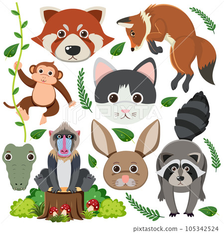 Set of mix animal character - Stock Illustration [105342524] - PIXTA