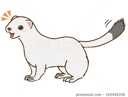 Happy stoat (winter fur) - Stock Illustration [105408398] - PIXTA