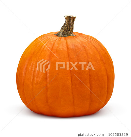 Halloween pumpkin illustration real - Stock Illustration [105505229 ...