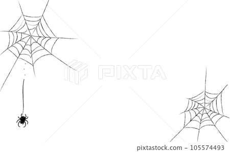 Spider's nest and spider - Stock Illustration [105574493] - PIXTA