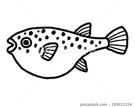 Fugu, pufferfish, fish, line drawing - Stock Illustration [105651224 ...