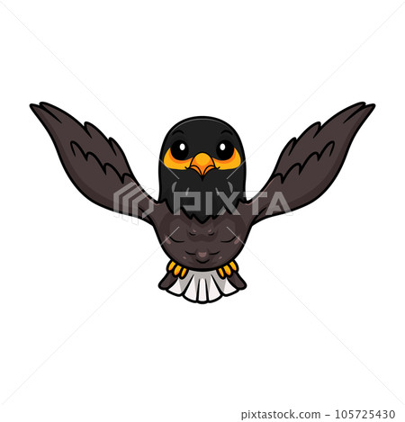Cute myna bird cartoon flying-插圖素材 [105725430] - PIXTA圖庫