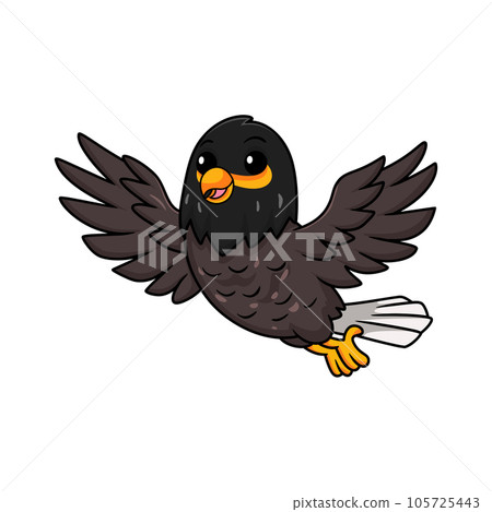 Cute myna bird cartoon flying - Stock Illustration [105725443] - PIXTA