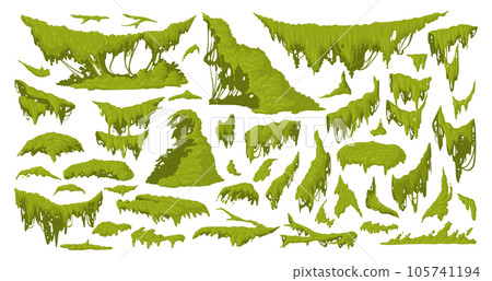 Cartoon jungle moss. Green moss plants, hanging... - Stock Illustration ...