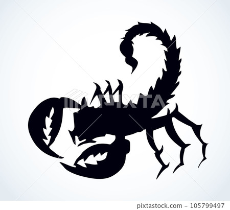 Big scary scorpion. Vector drawing - Stock Illustration [105799497] - PIXTA
