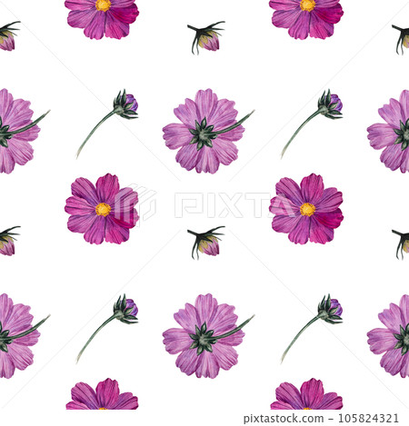 Floral seamless pattern with cosmos flowers....-插圖素材 [105824321] - PIXTA圖庫