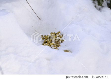 Grouse Poop