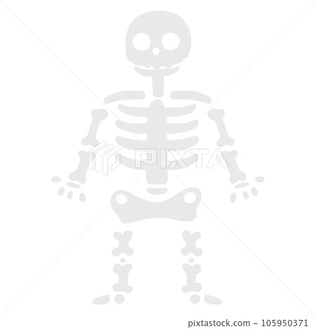 skeleton bone body system cartoon - Stock Illustration [105950371] - PIXTA