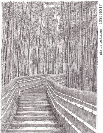 Bamboo grove - Stock Illustration [105966517] - PIXTA