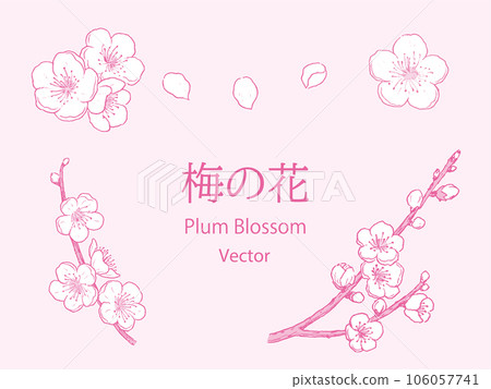 Plum blossom hand-drawn pen drawing set pink... - Stock Illustration ...