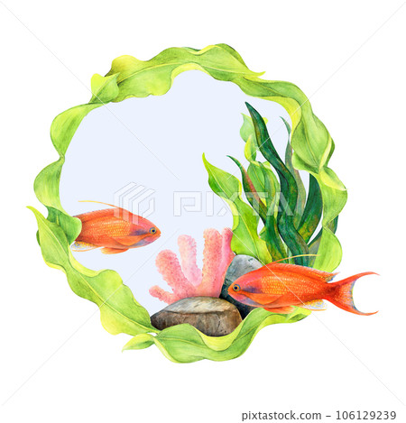 Golden Algae Drawing