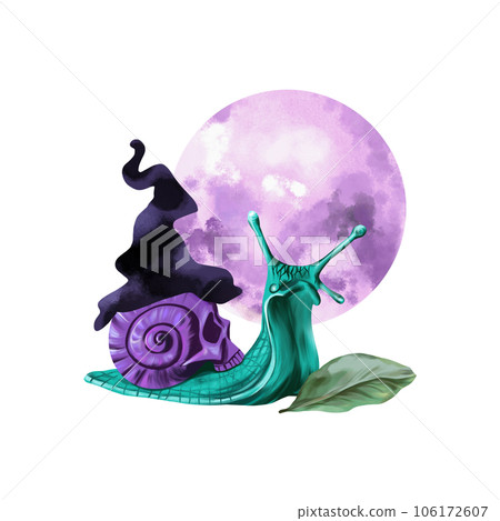 Mystical snail, witch hat, bay leaf, moon.... - Stock Illustration ...