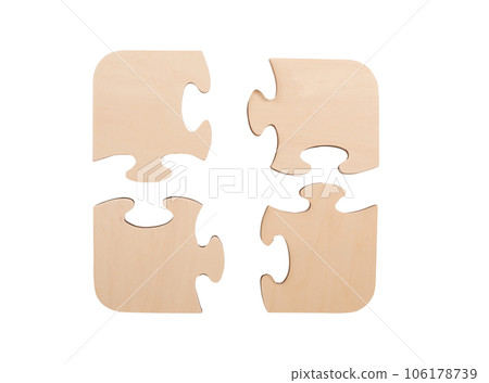 Integrated Puzzle
