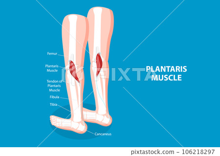 3D Isometric Flat Vector Conceptual... - Stock Illustration [106218297 ...