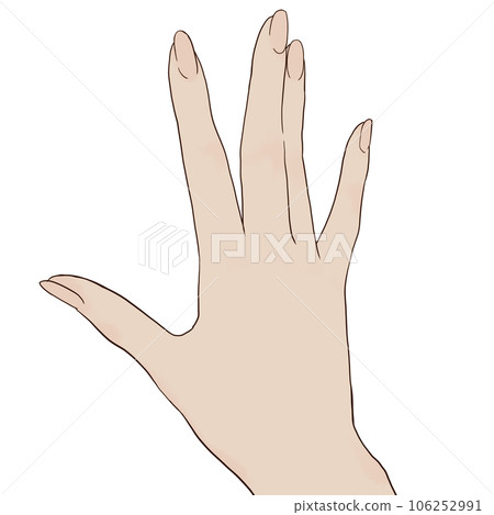 Illustration of a female hand - Stock Illustration [106252991] - PIXTA