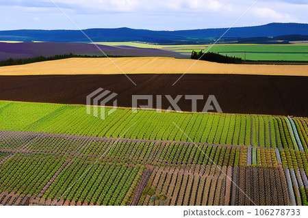 Wide Plain Patchwork Hill 《AI Generated Image》 - Stock Illustration ...