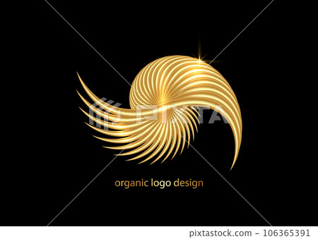 Yellow Seashell Logo Real 100% Natural Large 7 11 Horned Yellow Helmet