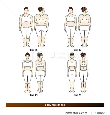BMI Body mass index Young women's body shape... - Stock Illustration ...