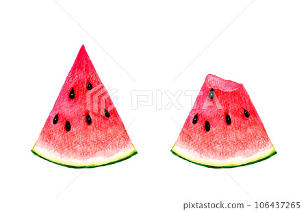 Cut and bitten watermelon, hand-drawn... - Stock Illustration ...