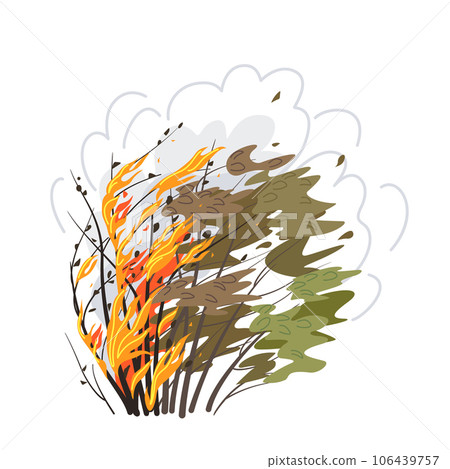Burning Bush Isolated on white, Wild Fire - Stock Illustration ...