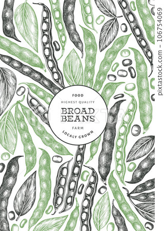 Hand drawn broad beans design template. Organic... - Stock Illustration ...