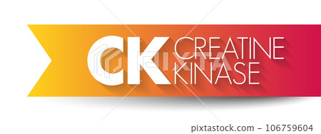 CK Creatine Kinase - enzyme expressed by... - Stock Illustration ...