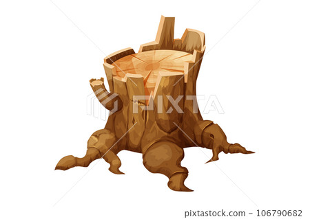 Wooden stump forest tree trunk with roots, cut...-插圖素材 [106790682 ...