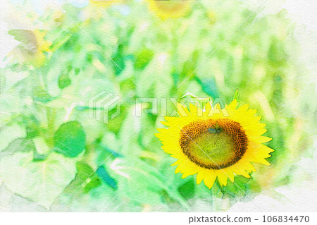 [Chita-gun] Tourist Farm Flower Hiroba... - Stock Illustration ...