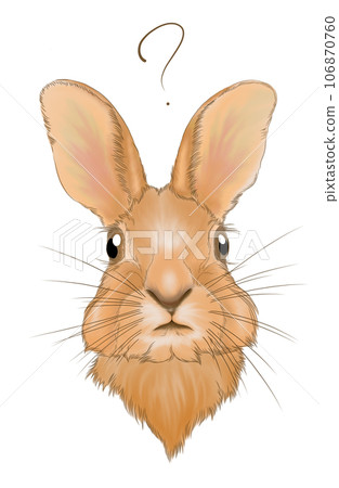 A Rabbit the expression of doubt transparent...-插圖素材 [106870760] - PIXTA圖庫