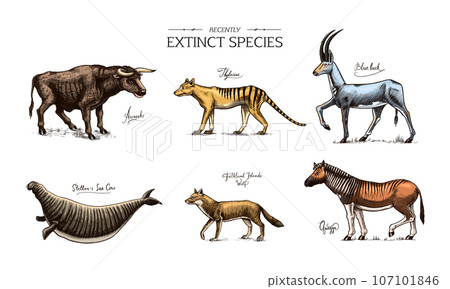 Extinct Species With Their Names 9 Extinct Exotic Sea Creatures