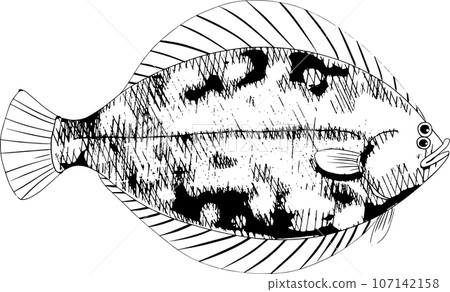 Illustration of fish print of flounder - Stock Illustration [107142158 ...