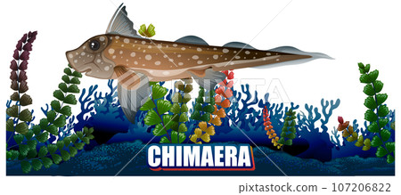 Chimaera Deep Sea Creature - Stock Illustration [107206822] - PIXTA