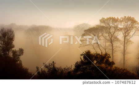 dark tree tops forest in heavy morning fog... - Stock Illustration ...