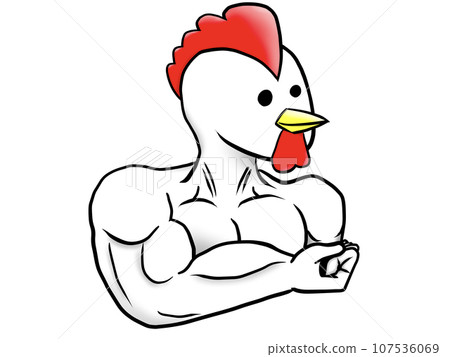 Macho chicken_facing right - Stock Illustration [107536069] - PIXTA