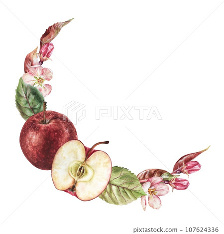 Apple Border Clip Art