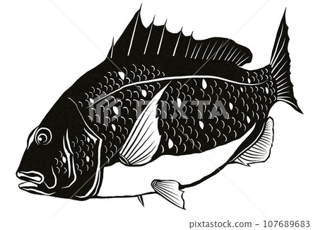 Cute sea bream illustration - Stock Illustration [107689683] - PIXTA