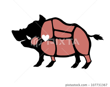 Boar meat - Stock Illustration [107731367] - PIXTA