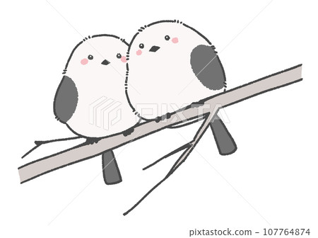 Shimaenaga - Stock Illustration [107764874] - PIXTA